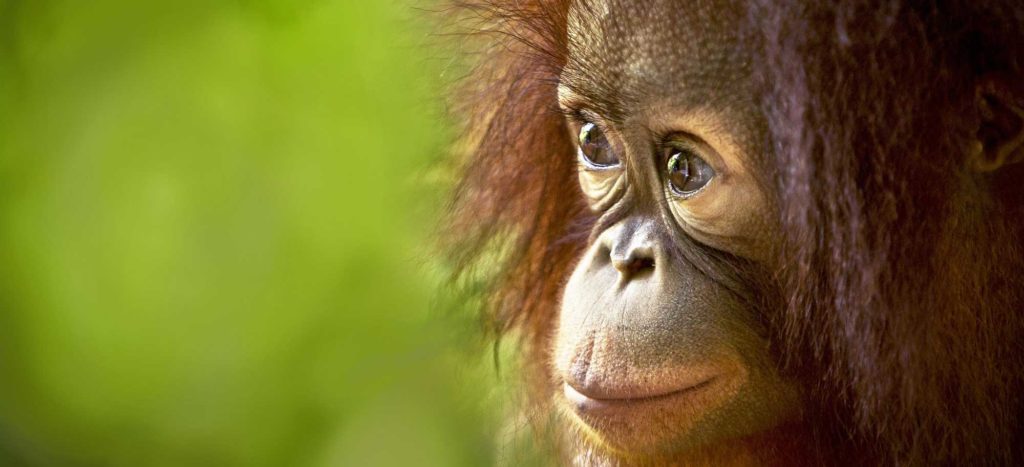 Jessica Serra : “il existe des millions de façons de se représenter le ...