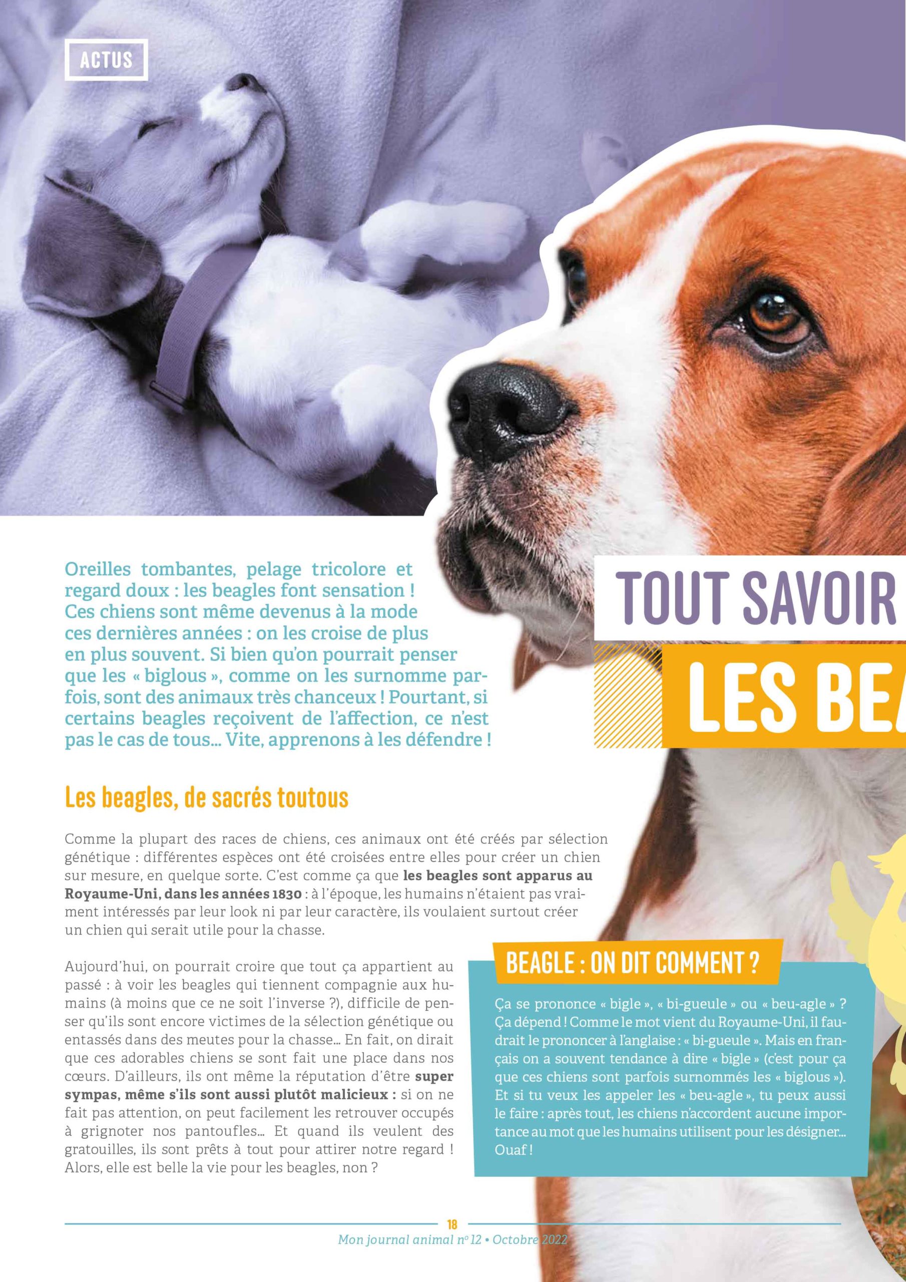 Mon Journal Animal, le magazine enfant de L214 | L214 Éducation
