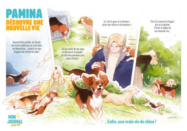 Posters gratuits pour la classe | L214 Éducation