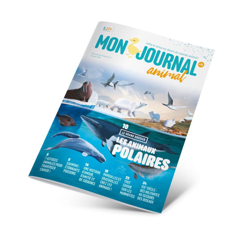 Mon journal animal, le magazine enfant de L214 | L214 Éducation