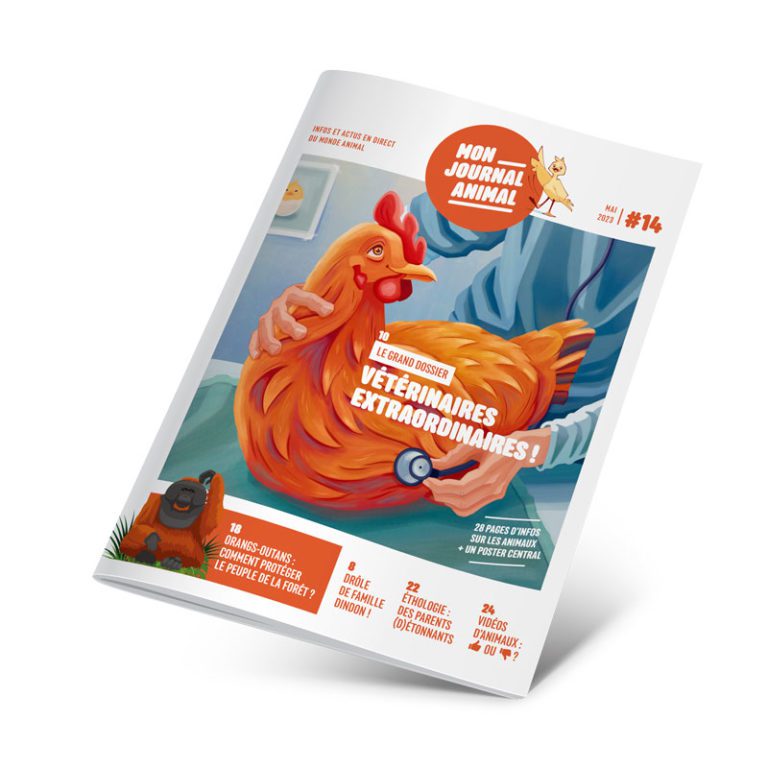 Mon journal animal, le magazine enfant de L214 | L214 Éducation