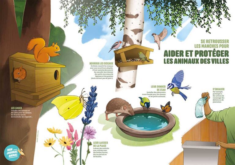 Posters gratuits pour la classe | L214 Éducation