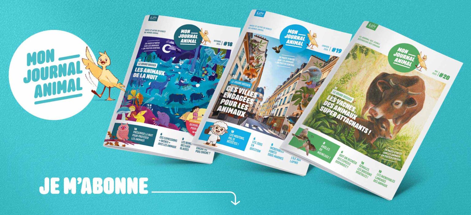 Mon journal animal, le magazine enfant de L214 | L214 Éducation
