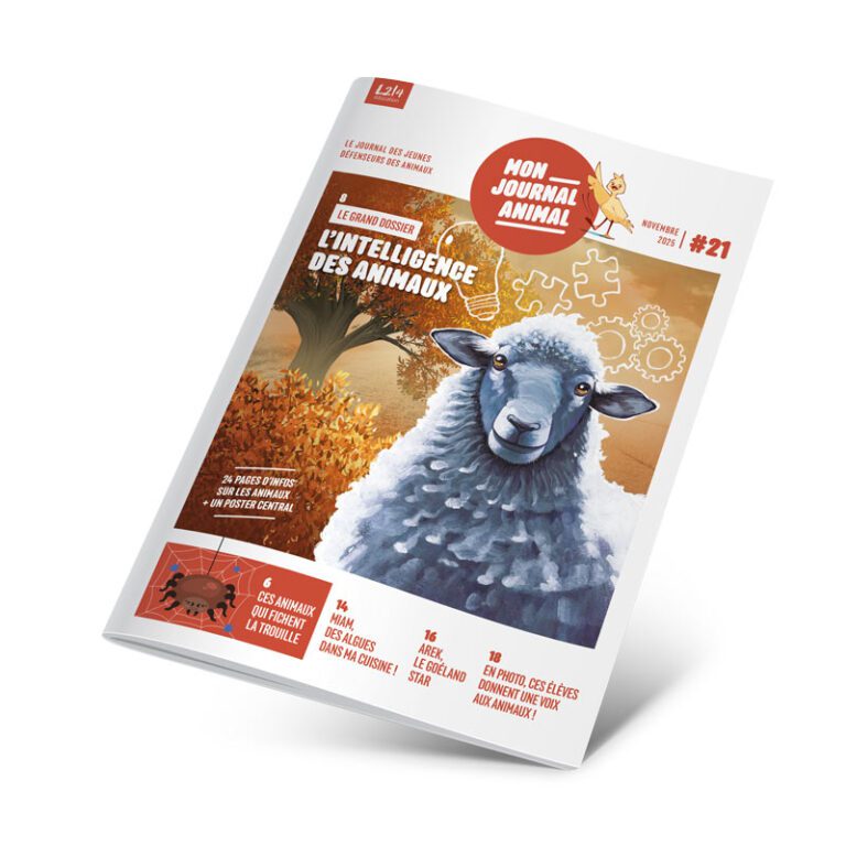 Mon journal animal, le magazine enfant de L214 | L214 Éducation
